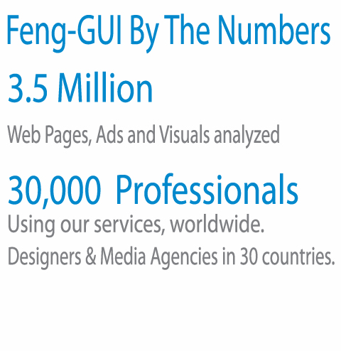 Feng-GUI - About Us