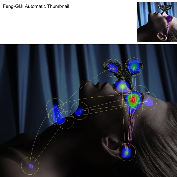 Feng-GUI Automatic Thumbnails